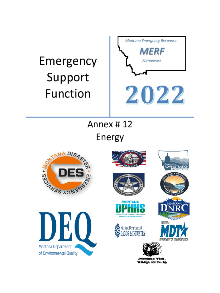 Fillable Online New York State Emergency Support Function Annex ESF #12 ...