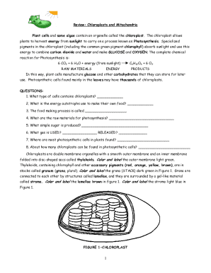Fillable Online Chloroplasts are the food producers of the cell. The ...