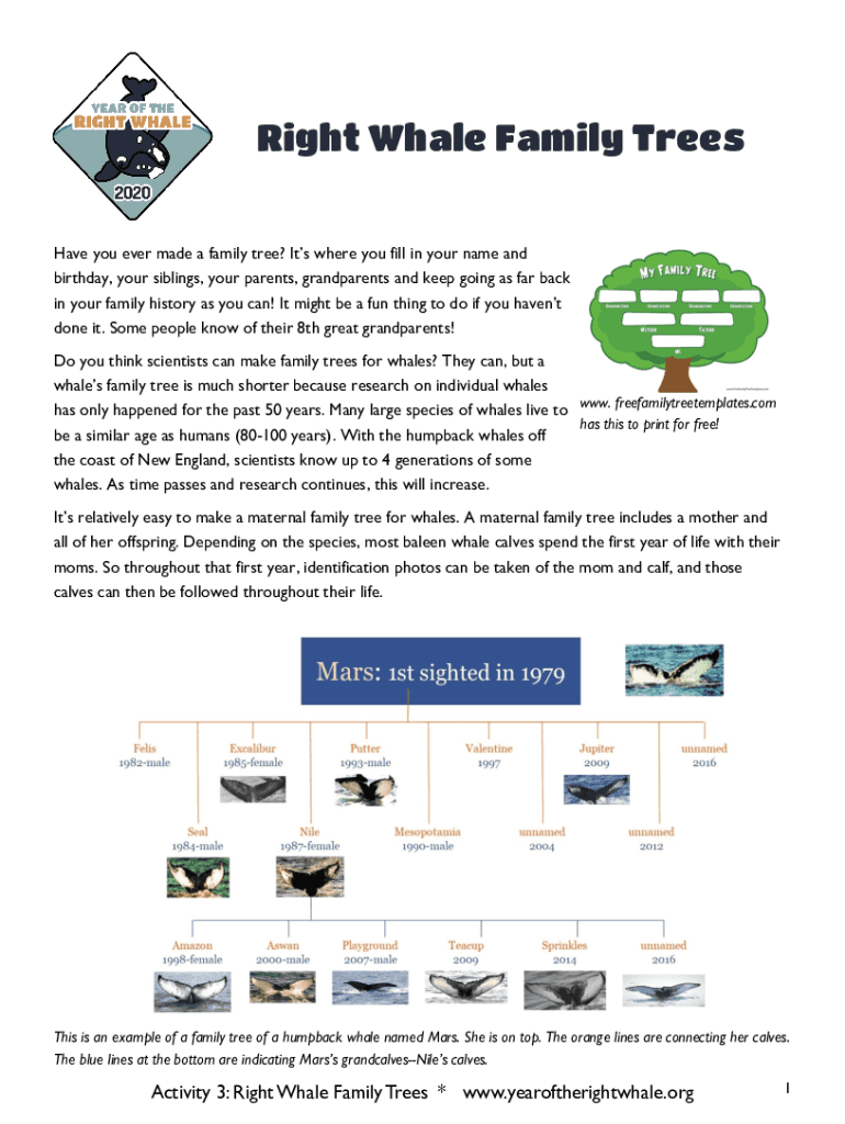 Fillable Online A Southern right whale's family tree - Ocean Alliance ...