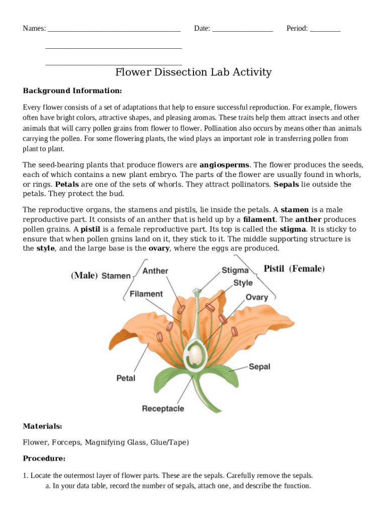 Flower Dissection Lab Guide - aec ifas ufl Doc Template | pdfFiller