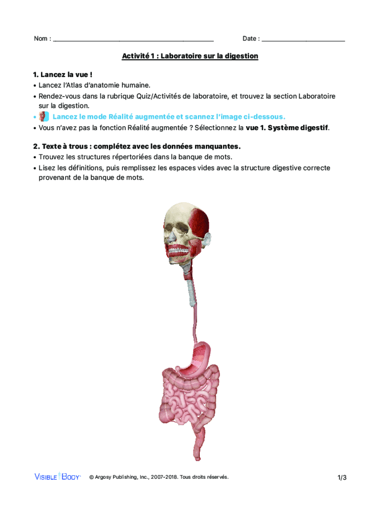 Remplissable En Ligne Digestive System Lab: Lesson Plan - Visible Body ...