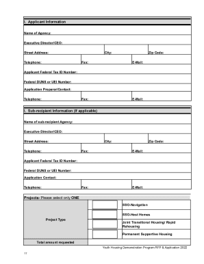 Fillable Online Request for Proposal (RFP): Youth Homelessness ... Fax ...