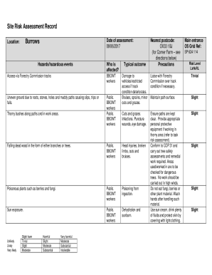 Fillable Online Site Risk Assessment Record Burrows Fax Email Print ...