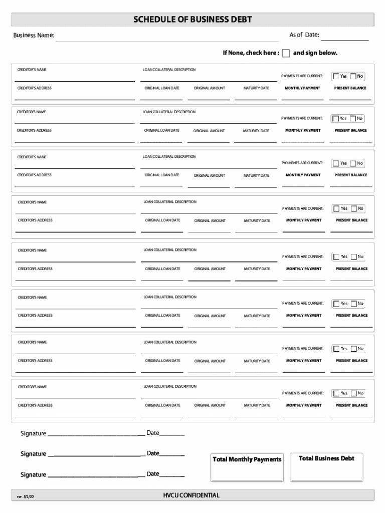 Fillable Online What Is a Business Debt Schedule? Free Template ...