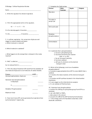 Fillable Online IB Biology: Photosynthesis Retake Review Name Fax Email ...