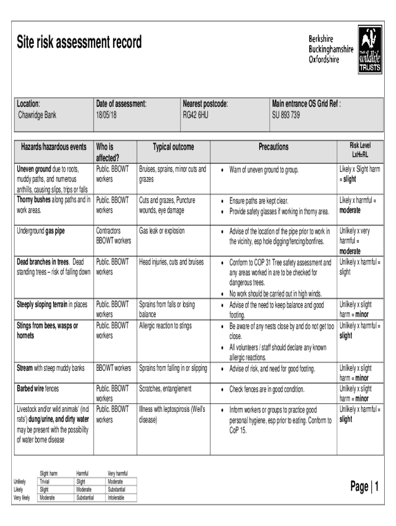 Fillable Online Risk assessment record Fax Email Print - pdfFiller