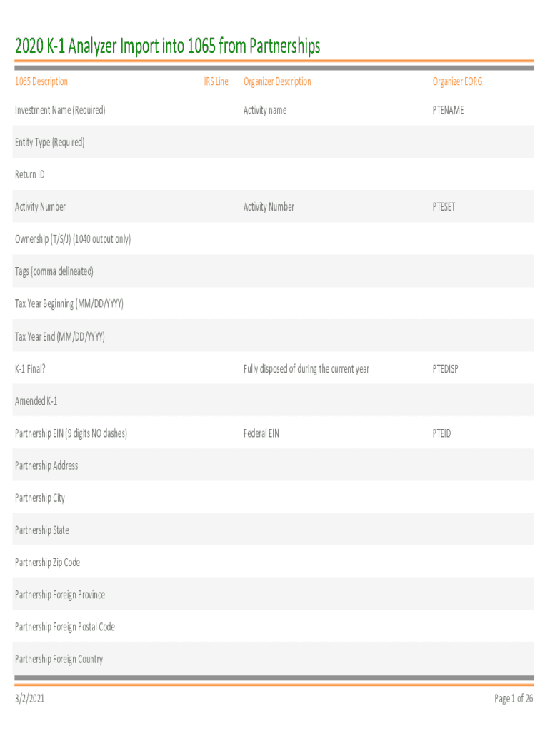 Fillable Online 2020 K-1 Analyzer Import into 1065 from Partnerships Fax Email Print - pdfFiller
