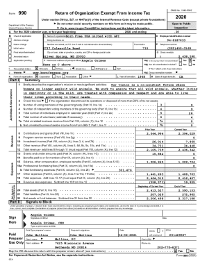 Fillable Online 2020 Tax Return Documents (Born Free USA united w) Fax ...