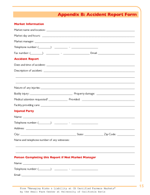 Fillable Online Appendix B: Accident Report Form Fax Email Print - pdfFiller