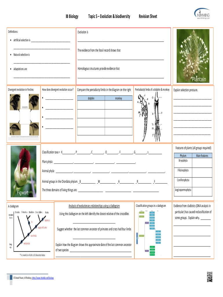 Fillable Online IB DP Biology Topic 5: 5.1 Evidence for evolution ...