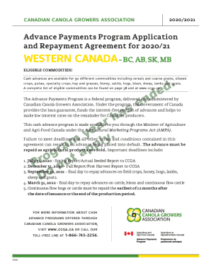 Fillable Online 2023 APP Cash Advance Application Form Fax Email Print ...