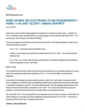 Fillable Online More-on-new-SEC-electronic-filing-requirements--Form-11 ...
