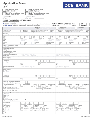 Fillable Online DCB Vehicle Loan Application Form - Srgrr dmhZ H$O ...