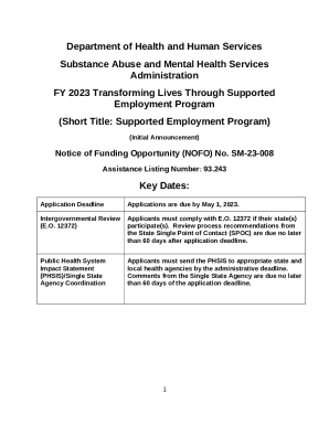 Adult Reentry Program NOFO Pre-Application Webinar ... Doc Template ...
