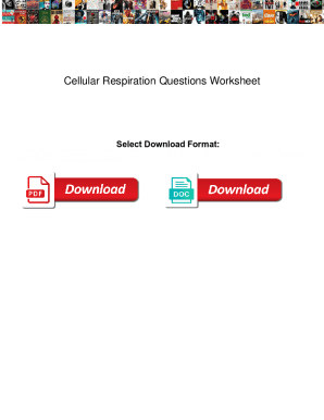 Fillable Online Cellular Respiration Questions Worksheet. Cellular Respiration Questions ...