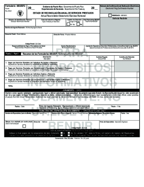 Completable En línea hacienda pr Gobierno de Puerto Rico - Government ...