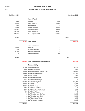 Fillable Online Balance Sheet as at 30th September 2021 Fax Email Print ...
