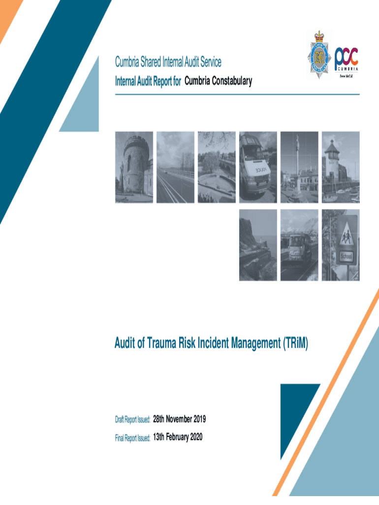 Fillable Online cumbria-pcc gov Audit of Trauma Risk Incident ...