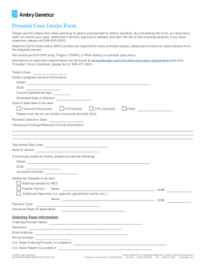 Fillable Online Prenatal Case Intake Form Fax Email Print - pdfFiller