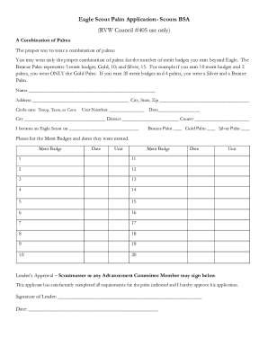 Fillable Online Eagle Scout Palm Application- Scouts BSA (RVW Council ...