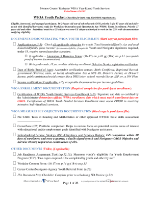 Fillable Online WIOA Youth Program Services Brief - Department of Labor Fax Email Print - pdfFiller