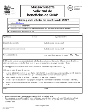 Completable En línea SNAP benefits (formerly food stamps) - Mass.gov ...