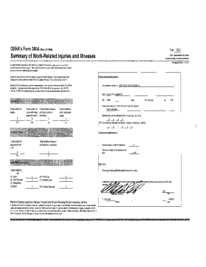 Fillable Online Tracking of Workplace Injuries and Illnesses - View ...