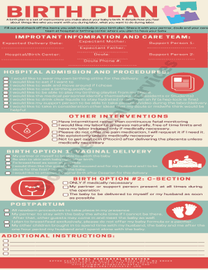 Fillable Online Birth Plan Infographics Fax Email Print - pdfFiller