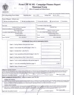 Fillable Online Form CPF M 102: Campaign Finance Report Municipal Form ...