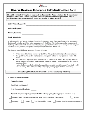 Fillable Online Diverse Business Enterprise Self-Identification Form ...
