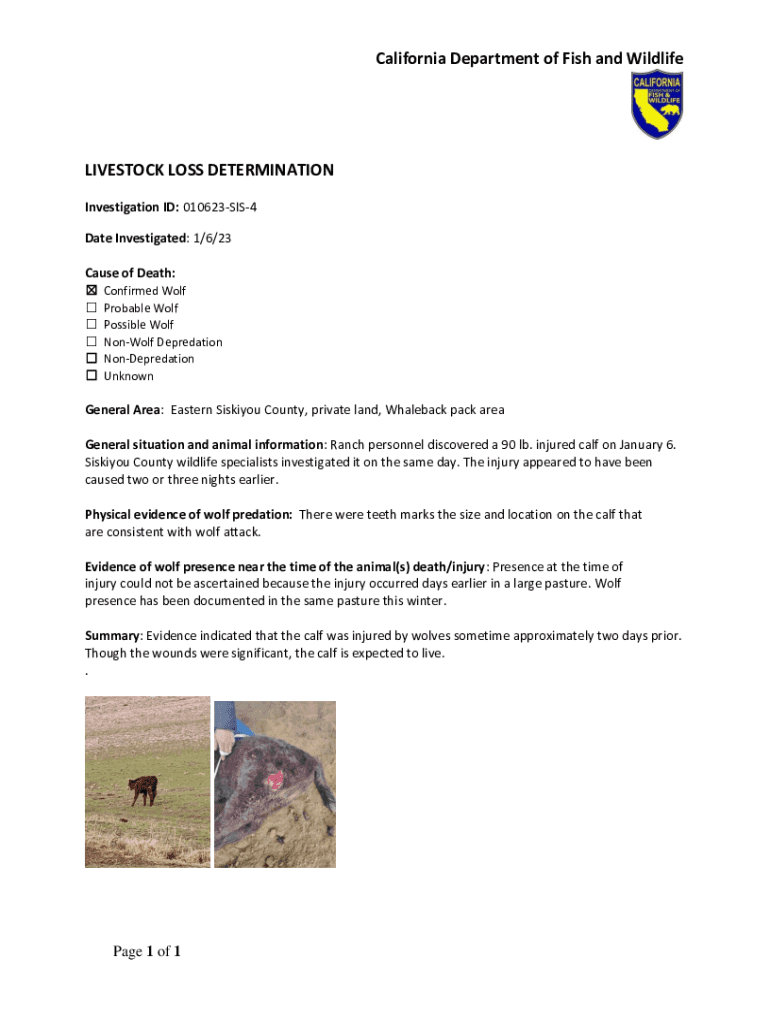 Fillable Online Depredation Determination Form 010623-SIS-4 ...