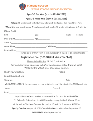Fillable Online YOUTH CHEERLEADING REGISTRATION FORM Fax Email Print ...