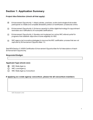 Fillable Online WIC-Special-Project-Innovation-Application-Form ...