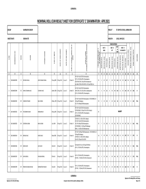 Fillable Online NOMINAL ROLL CUM RESULT SHEET FOR CERTIFICATE 'C ...