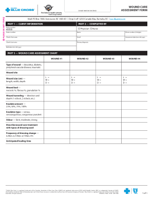 Fillable Online WOUND CARE ASSESSMENT FORM Fax Email Print - pdfFiller