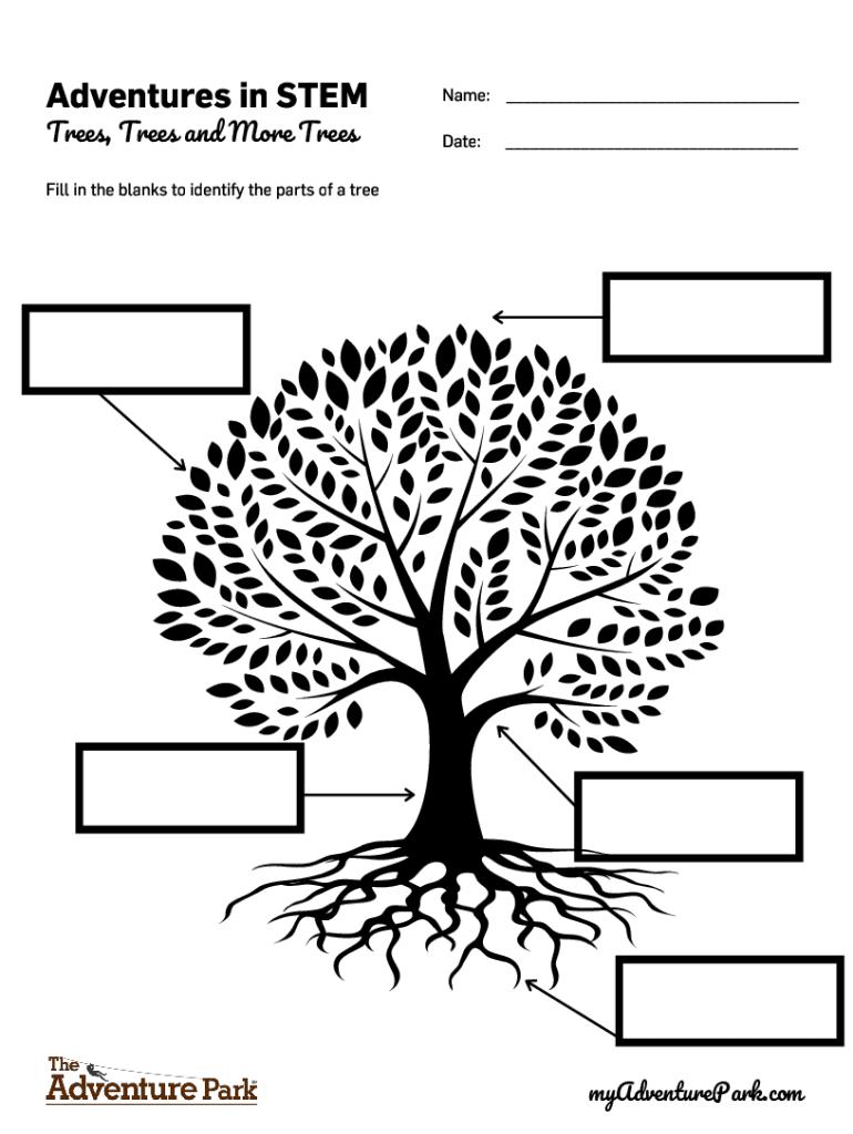 Fillable Online Adventures in STEM Worksheet - Class 2 Fax Email Print ...
