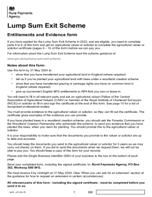 Fillable Online Lump sum exit claims : Tax, timing and paperwork tips Fax Email Print - pdfFiller
