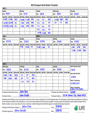 Fillable Online Get the free IRIS Participanthired Worker Timesheet ...