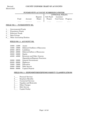 Fillable Online comptroller tn UNIFORM CHART OF ACCOUNTS FOR LOCAL ...