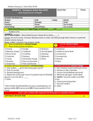 Fillable Online Diabetes Emergency Action Plan Template Fax Email Print ...