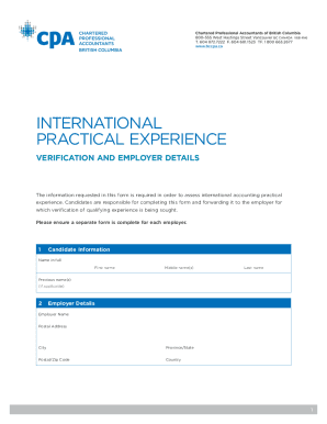 Fillable Online International Practical Experience Form. Assessing international practical ...