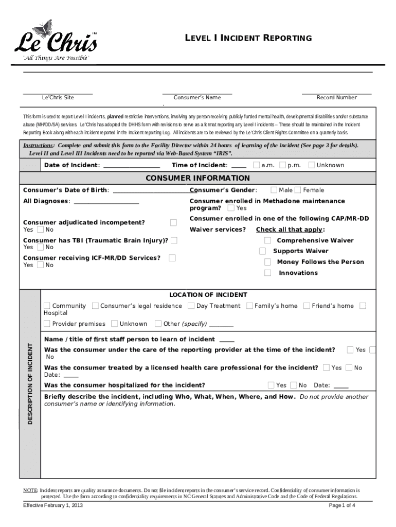DHHS Incident QM02 Revised 11-01-04 Doc Template | pdfFiller