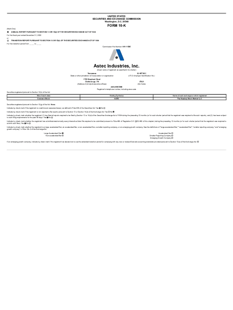Fillable Online See the definitions of "large accelerated filer ...