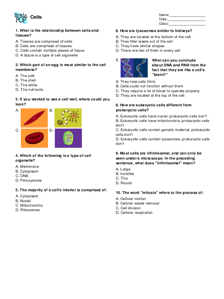 Fillable Online 1. What is the relationship between cells and tissues? A. ... Fax Email Print ...