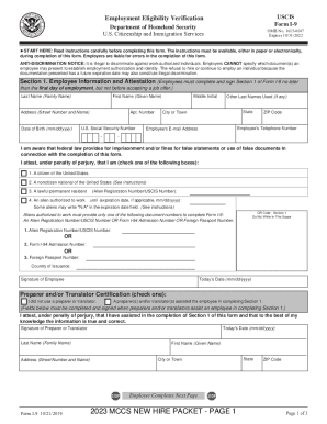 Fillable Online Uscis Application Employment Verification Letter Sample ...