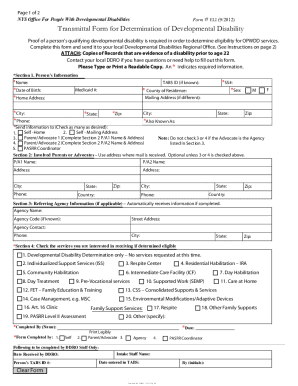 Fillable Online Application for OPWDD Services Fax Email Print - pdfFiller