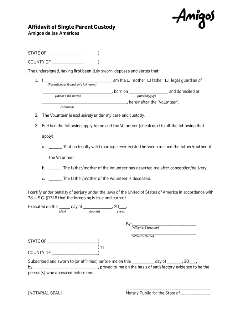 Single parent affidavit format: Fill out & sign online | DocHub