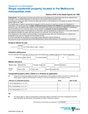 Fillable Online Instructions for Completing the Statement of ...