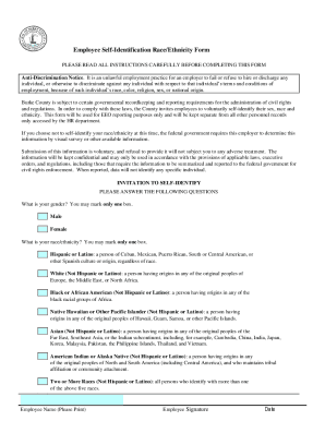 Fillable Online Employee Self-Identification Race/Ethnicity Form Fax Email Print - pdfFiller