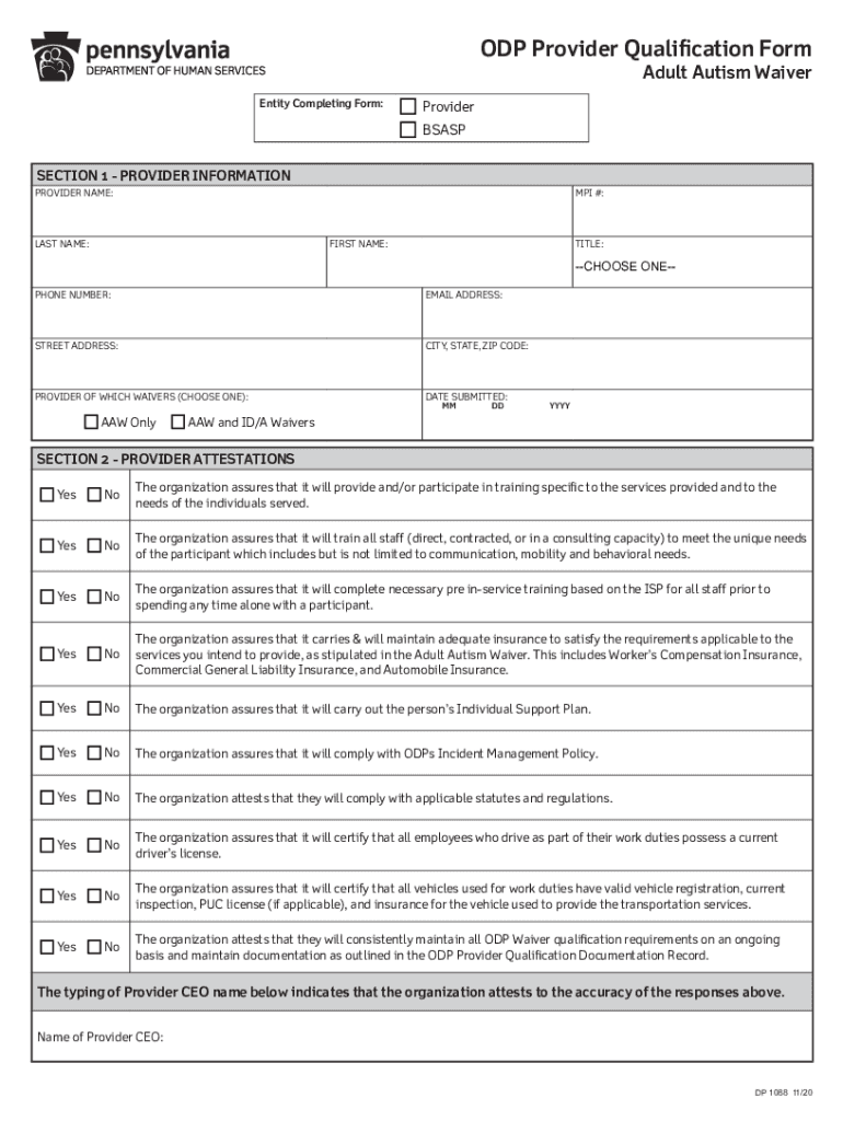 ODP Provider Qualification Form - Blank Fillable Template | Fill Out ...